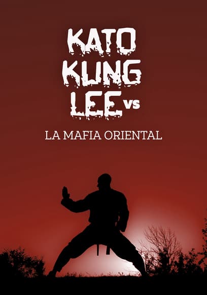 Watch Kato Kung Lee vs La Mafia Oriental (2008) - Free Movies | Tubi