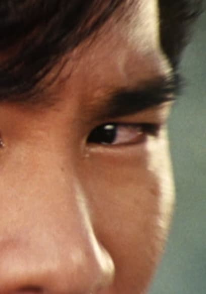 Watch Super Sentai Zyuranger S01:E40 - Burai's Death - Free TV Shows | Tubi