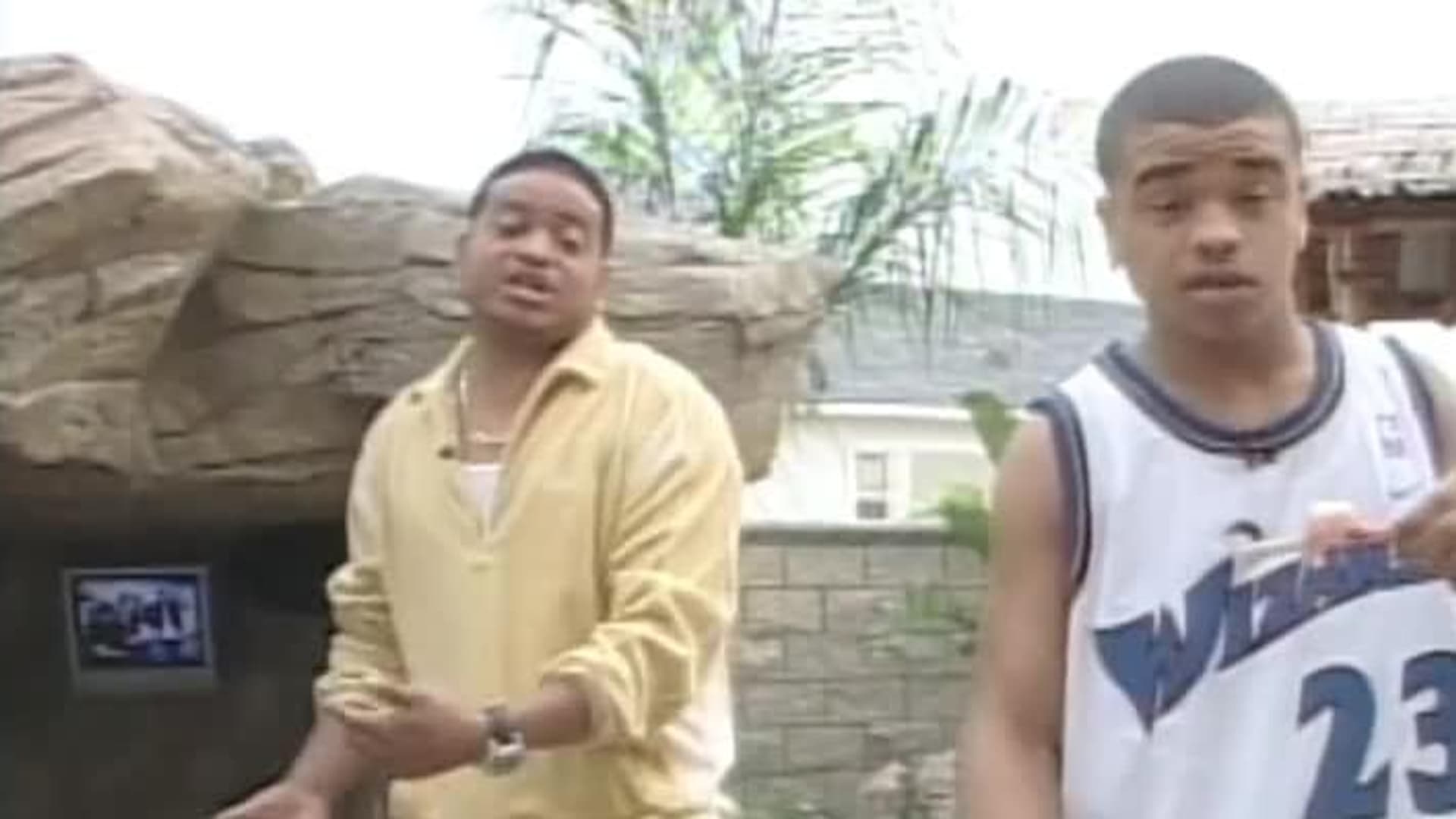 Watch The Diamond Life - Free TV Shows | Tubi