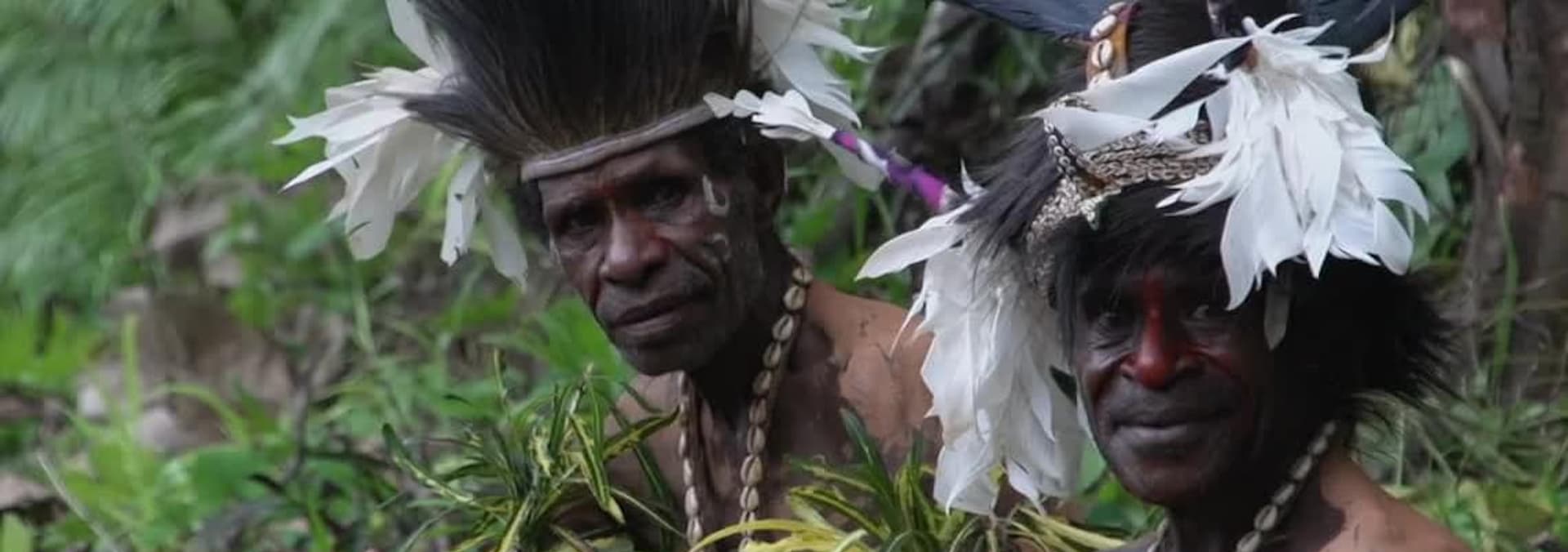 Watch Escape to: Papua New Guinea (2015) - Free Movies | Tubi