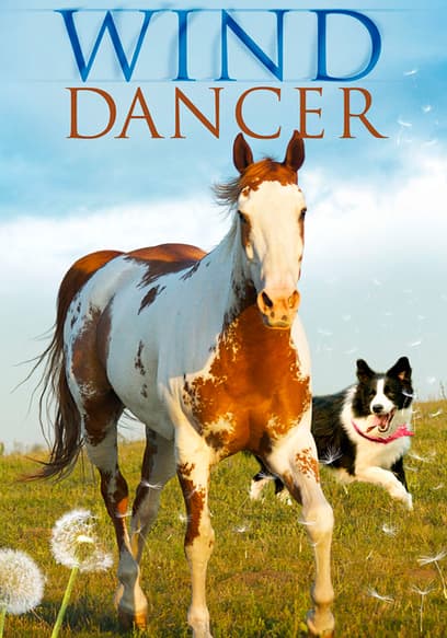 Watch Wind Dancer (Español) (1993) - Free Movies | Tubi