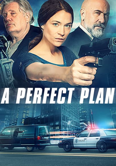 Watch A Perfect Plan (2020) - Free Movies | Tubi