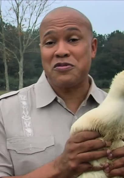 Watch Family Style With Chef Jeff S01:E15 - Duck - Free TV Shows | Tubi