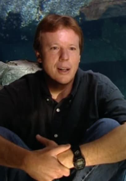 Watch Extinct S01:E04 - Great Auk - Free TV Shows | Tubi