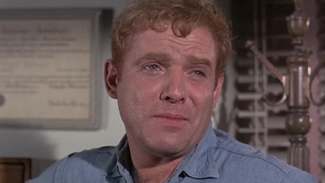 Watch The Partridge Family S01:E09 - Did You Hear the One About Danny ...