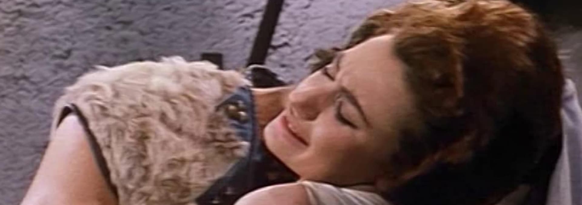 Watch Caesar the Conqueror (1962) - Free Movies | Tubi