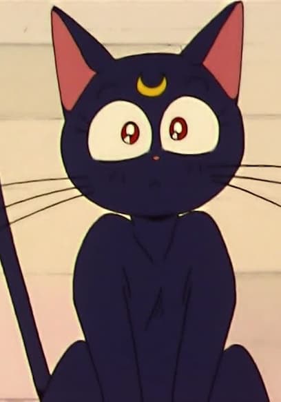 Watch Sailor Moon S01:E31 - Love and Chased: Luna’s - Free TV Shows | Tubi