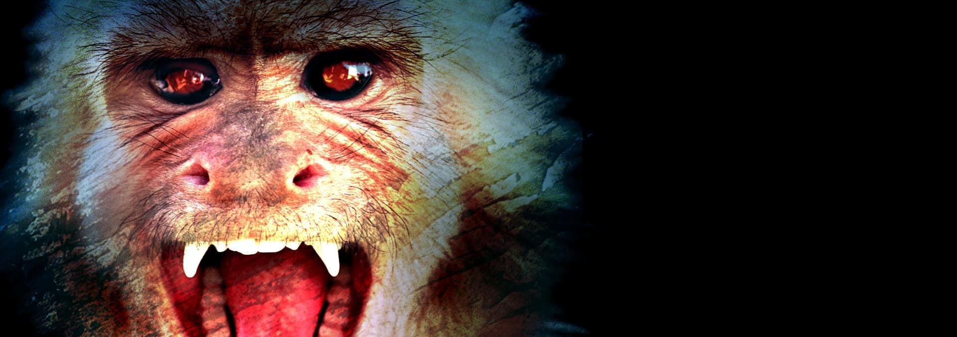 Watch Blood Monkey (2007) - Free Movies | Tubi