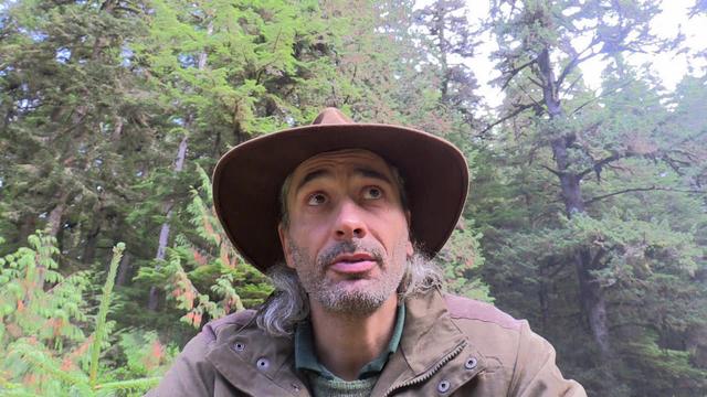 Watch Alone S02:E06 - Adrift - Free TV Shows | Tubi