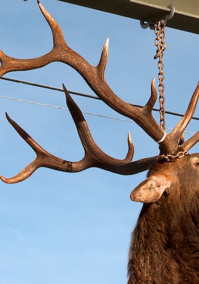 Watch Wardens S01:E03 - Yellowstone - Free TV Shows | Tubi