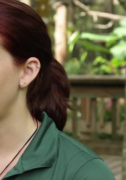 Watch Real Life 101 S15:E04 - Episode 4 - Free TV Shows | Tubi