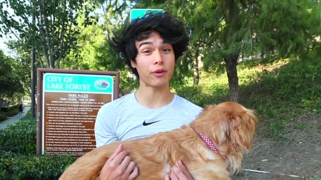 Watch Stokes Twins S01:E05 - 100 Pranks in 24 Hours - Free TV Shows | Tubi