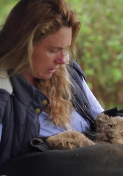 Watch The Lion Queen S02:E06 - Carl: Free - Free TV Shows | Tubi