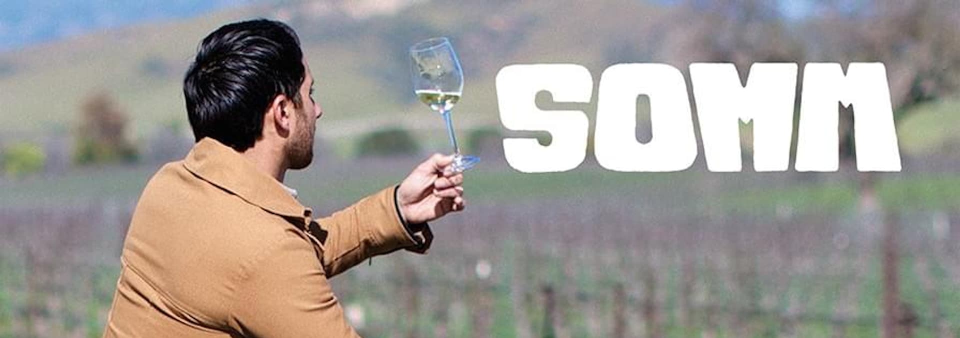 Watch Somm (2013) - Free Movies | Tubi