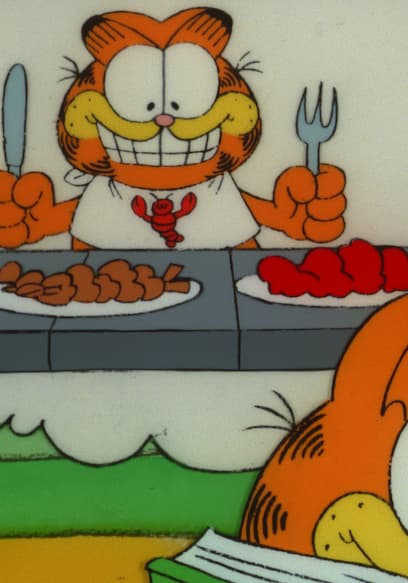 Watch Garfield and Friends S02:E211 - Maine Course / First Aid Wade ...