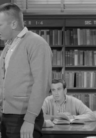 Watch The Adventures of Ozzie and Harriet S12:E05 - - Free TV Shows | Tubi