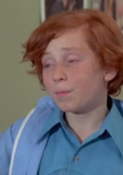 Watch The Partridge Family S01:E04 - See Here, Private Partridge - Free ...