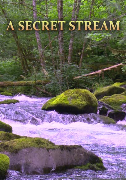 Watch A Secret Stream (2017) - Free Movies | Tubi