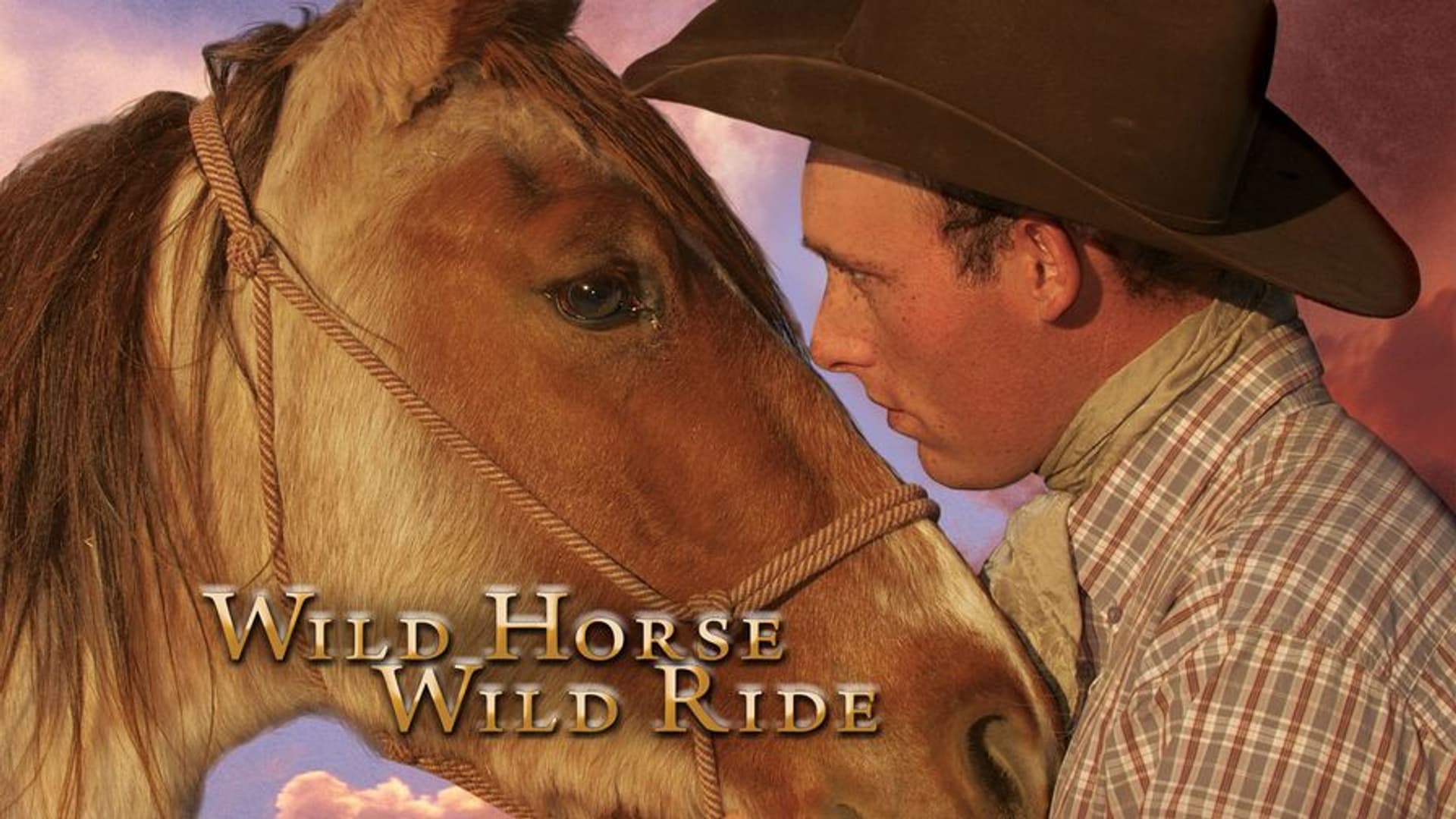 Watch Wild Horse Wild Ride (2012) - Free Movies | Tubi