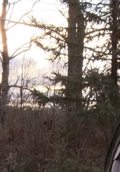 Watch Wardens S07:E14 - Firearm Opener - Free TV Shows | Tubi