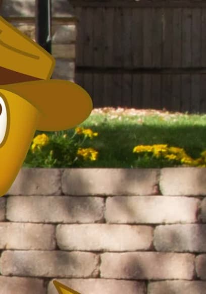 Watch Whirl: Ada and Friends S01:E14 - Volume 14 - Free TV Shows | Tubi