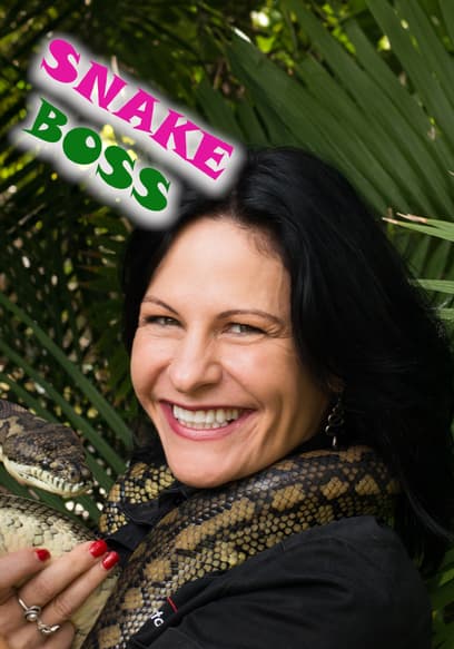 Watch Snake Boss - Free TV Shows | Tubi