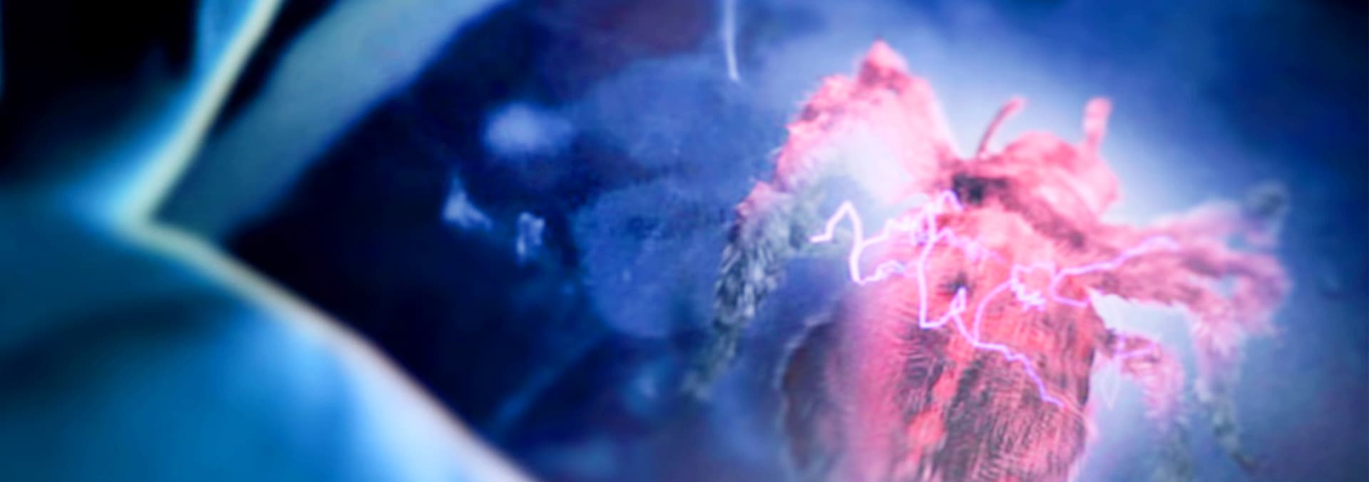 Watch Arachnicide (2016) - Free Movies | Tubi