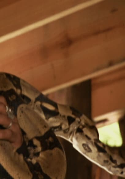 Watch Real and Chance: The Legend Hunters S01:E04 - - Free TV Shows | Tubi