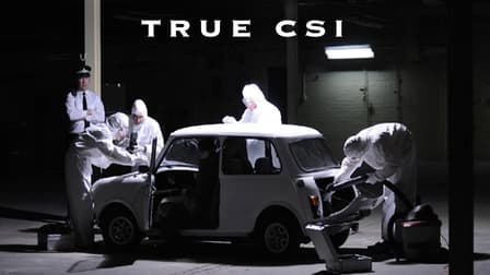 Watch True CSI - Free TV Shows | Tubi