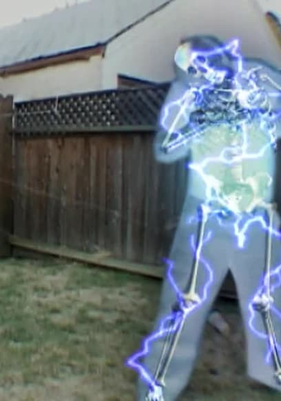 Watch Whacked Out Videos S05:E09 - Episode 9 - Free TV Shows | Tubi