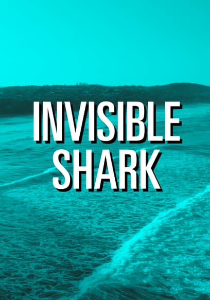 Watch Invisible Shark (2023) - Free Movies | Tubi