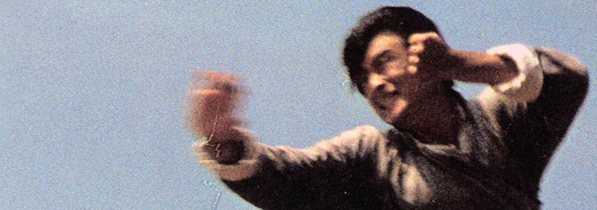 Watch Deadly Kicks in the Snake's Shadow (1975) - Free Movies | Tubi