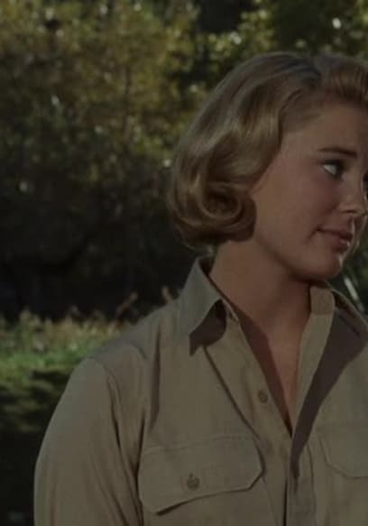 Watch Daktari S02:E15 - Judy and the Gorilla - Free TV Shows | Tubi