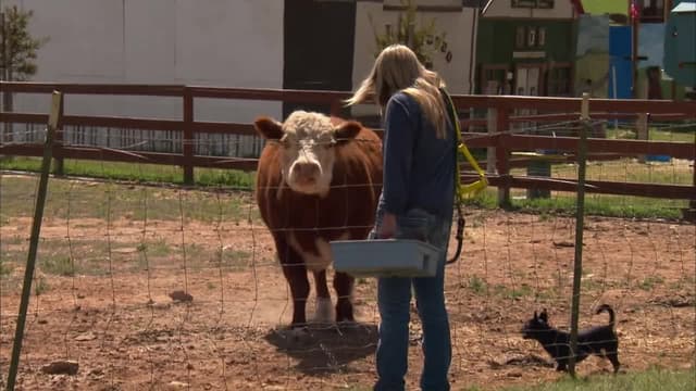 Watch Bad Dog S01:E02 - Bad to the Bone - Free TV Shows | Tubi