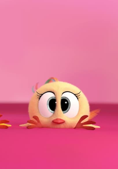 Watch Where's Chicky? Chicky and Friends S02:E01 - Episode 1 - Free TV ...