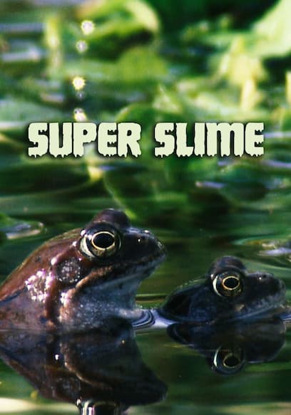 Watch Super Slime 2021 Free Movies Tubi