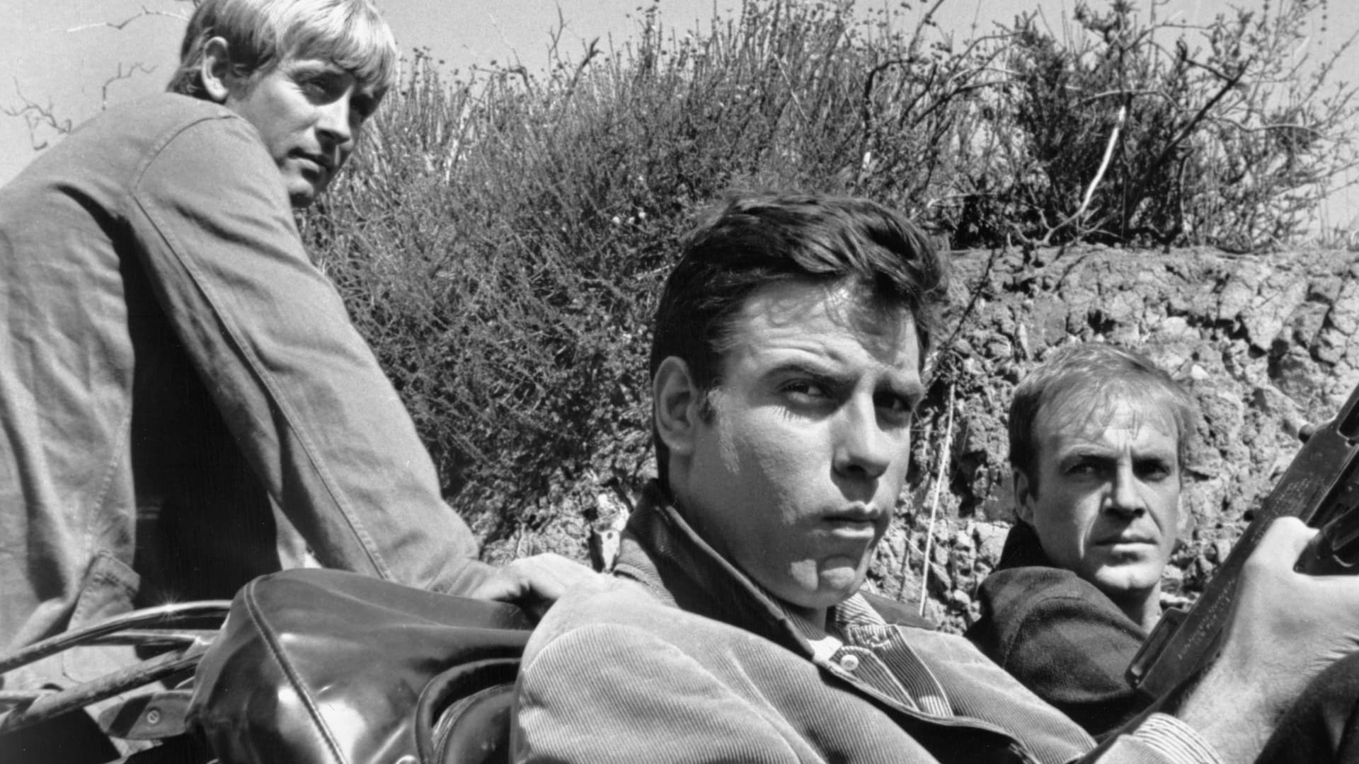 Watch Jericho - Free TV Shows | Tubi