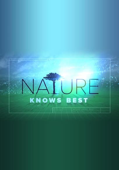 Watch Xploration Nature Knows Best S01:E01 - Nature - Free TV Shows | Tubi