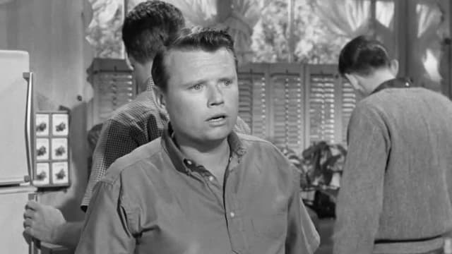 Watch The Adventures of Ozzie and Harriet S08:E28 - Big Plans for the ...