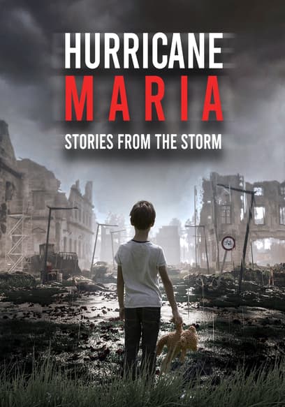 Watch Hurricane Maria: Stories From the Storm (2022) - Free Movies | Tubi