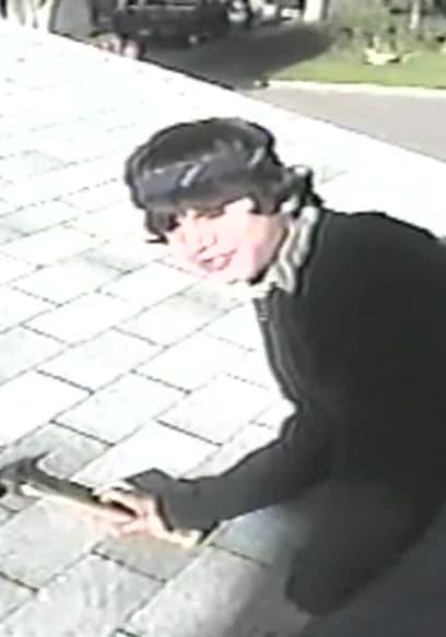 Watch Whacked Out Videos S01:E22 - Episode 22 - Free TV Shows | Tubi