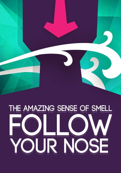 Watch Follow Your Nose: The Amazing Science of Smell ( - Free Movies | Tubi
