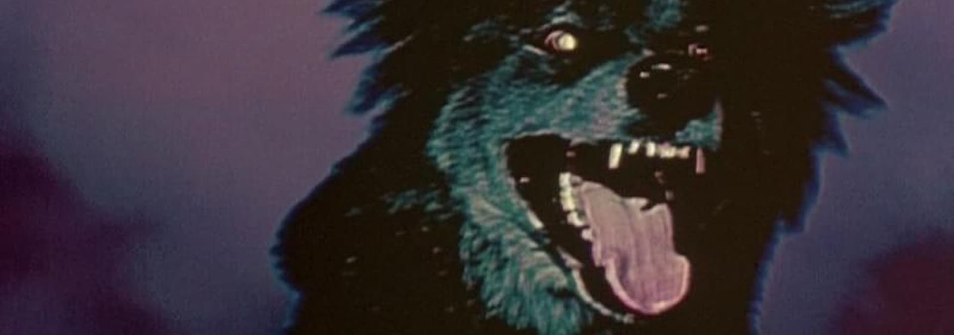 Watch Devil Dog: The Hound of Hell (1978) - Free Movies | Tubi