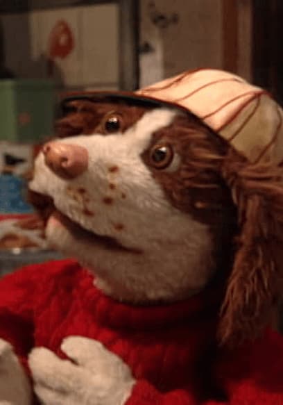 Watch Dog City S02:E06 - The Great Dane Curse - Free TV Shows | Tubi