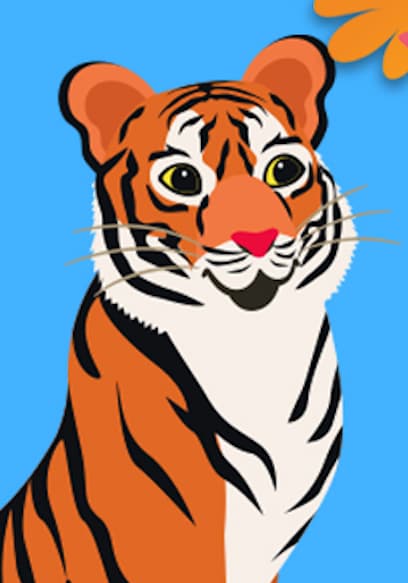 Watch Babyfirst's Favorites S01:E05 - Fun Inspiration - Free TV Shows ...