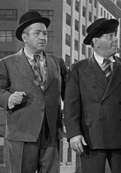Watch The Three Stooges Comedy Gold Standard S03e0 Free Tv Shows Tubi