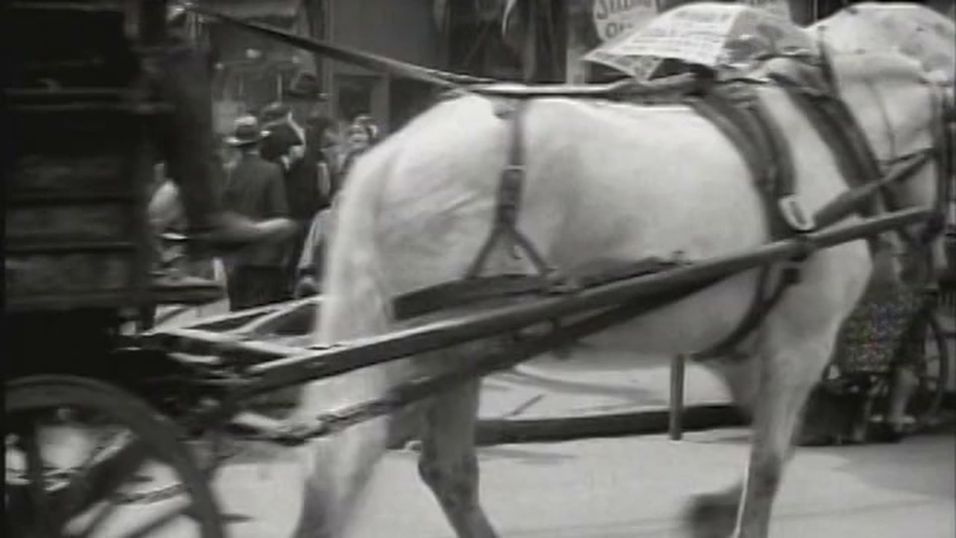 Watch Vegas: The City the Mob Made - Free TV Shows | Tubi