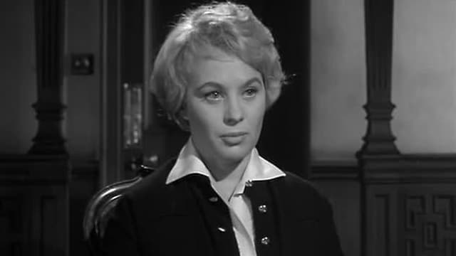 Watch Secret Agent - Free TV Shows | Tubi