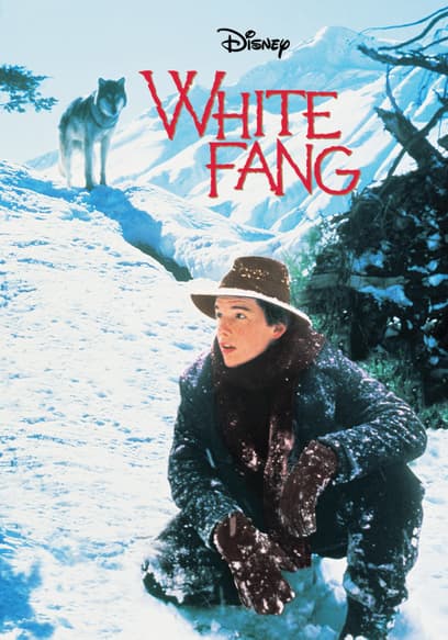 Watch White Fang (1991) - Free Movies | Tubi