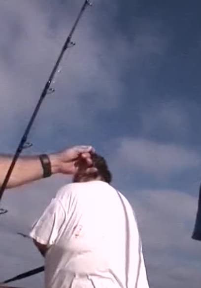 Watch Inside Sportfishing S03:E16 - Yellowfin on the Chew! Desperation Reef - Free TV Shows | Tubi